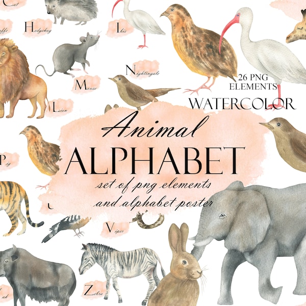 Animal Alphabet - Etsy