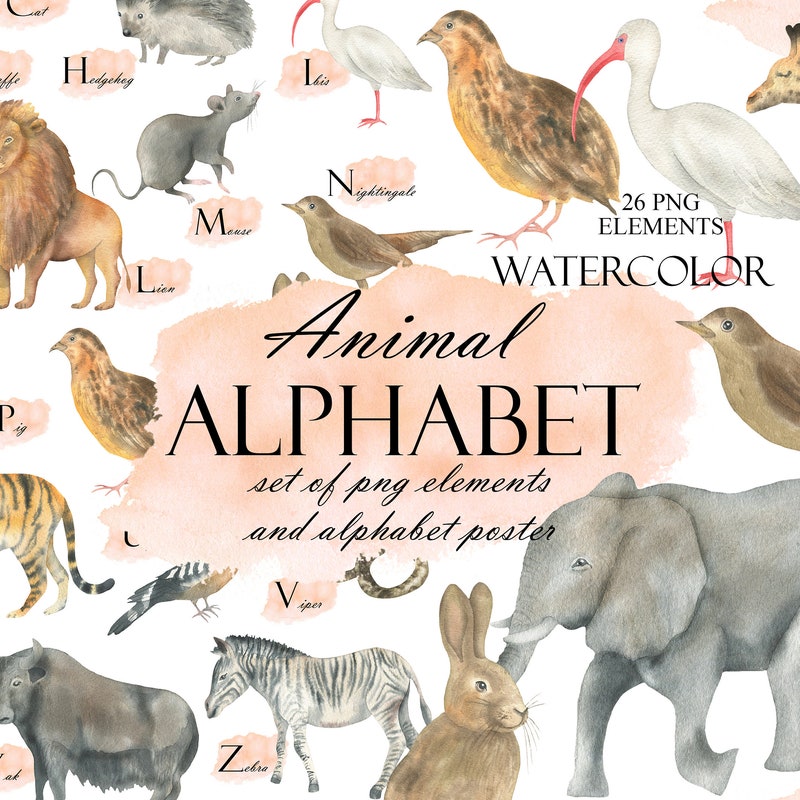 Animal Alphabet - Etsy