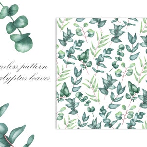 Watercolor Eucalyptus Clipart, Floral Clipart, Summer Green Leaves ...