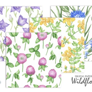 Wildflower Floral Digital Paper Pack, Watercolor Seamless Patterns of ...