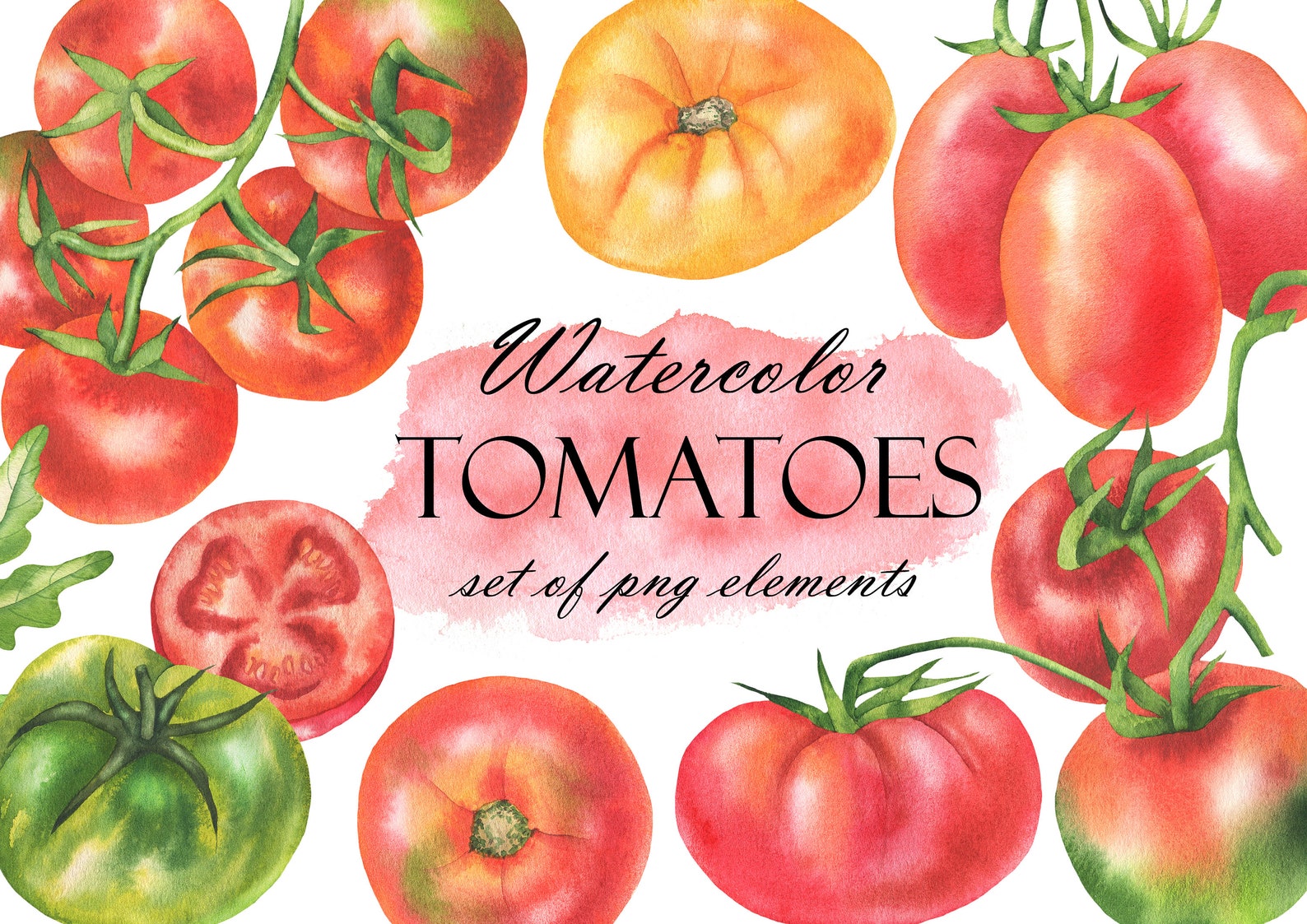 Watercolor Tomatoes Clipart Tomato Slices Clip Art Eco Farm - Etsy