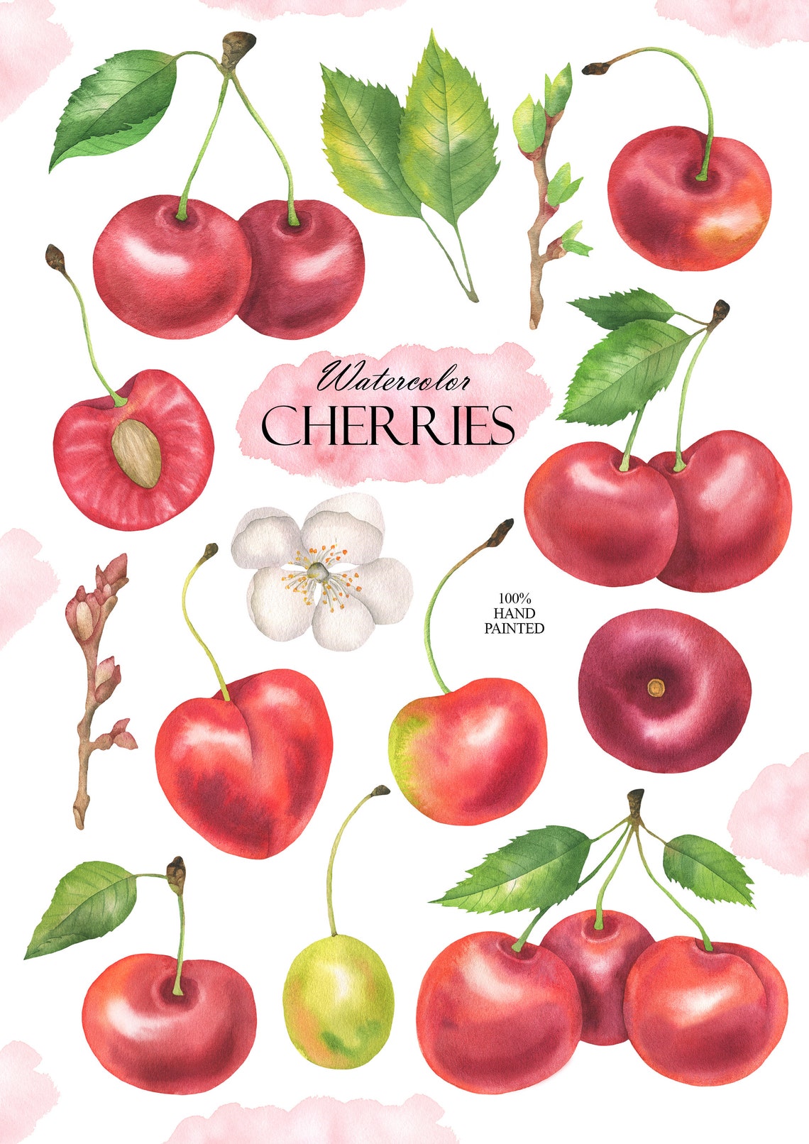 Watercolor Cherry Clipart, Cherries Branch, Summer Fresh Berries and ...