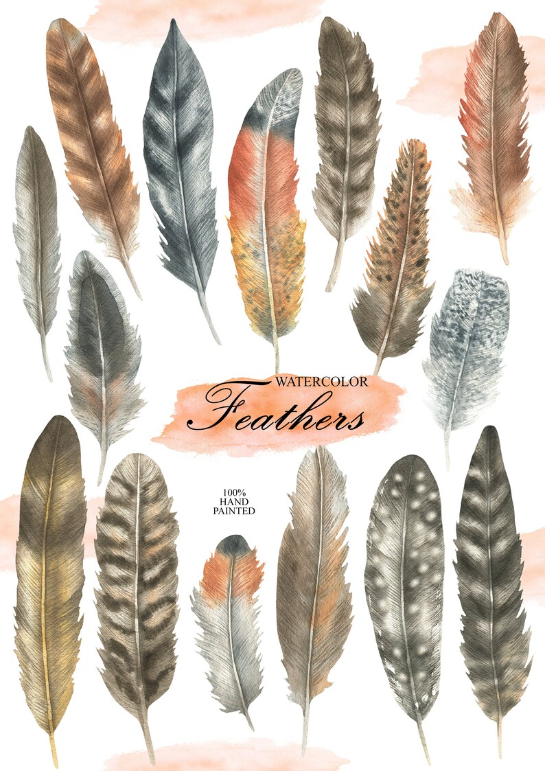 Feather Watercolor Clipart, Exotic Boho Set, Bohemian Clip Art ...
