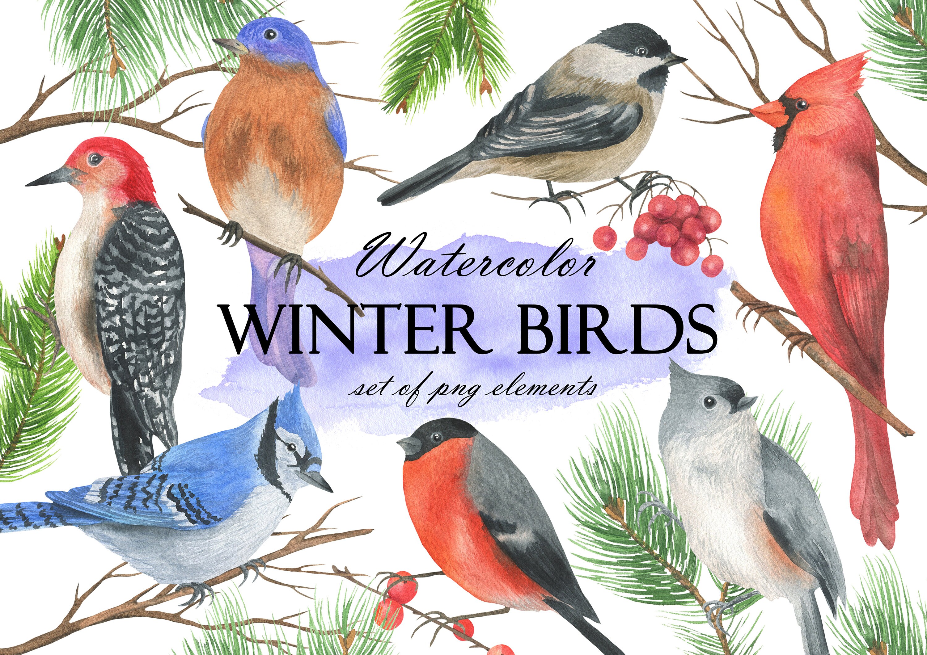 Christmas Clip Art, Watercolor Bird Illustration, Winter Woodland ...