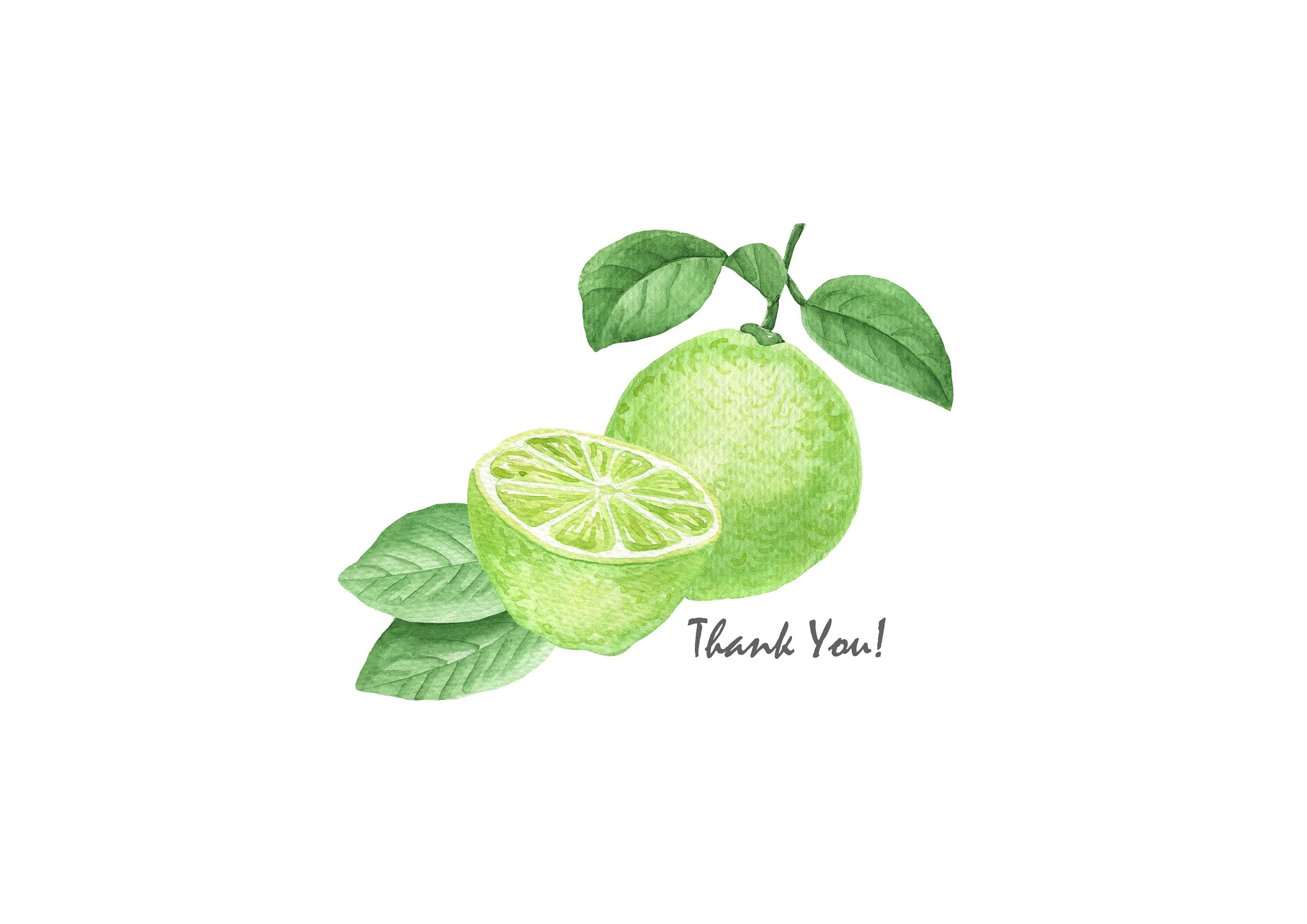 Lime Clipart Watercolor Lime Clip Art Tropical Fruit Clip - Etsy