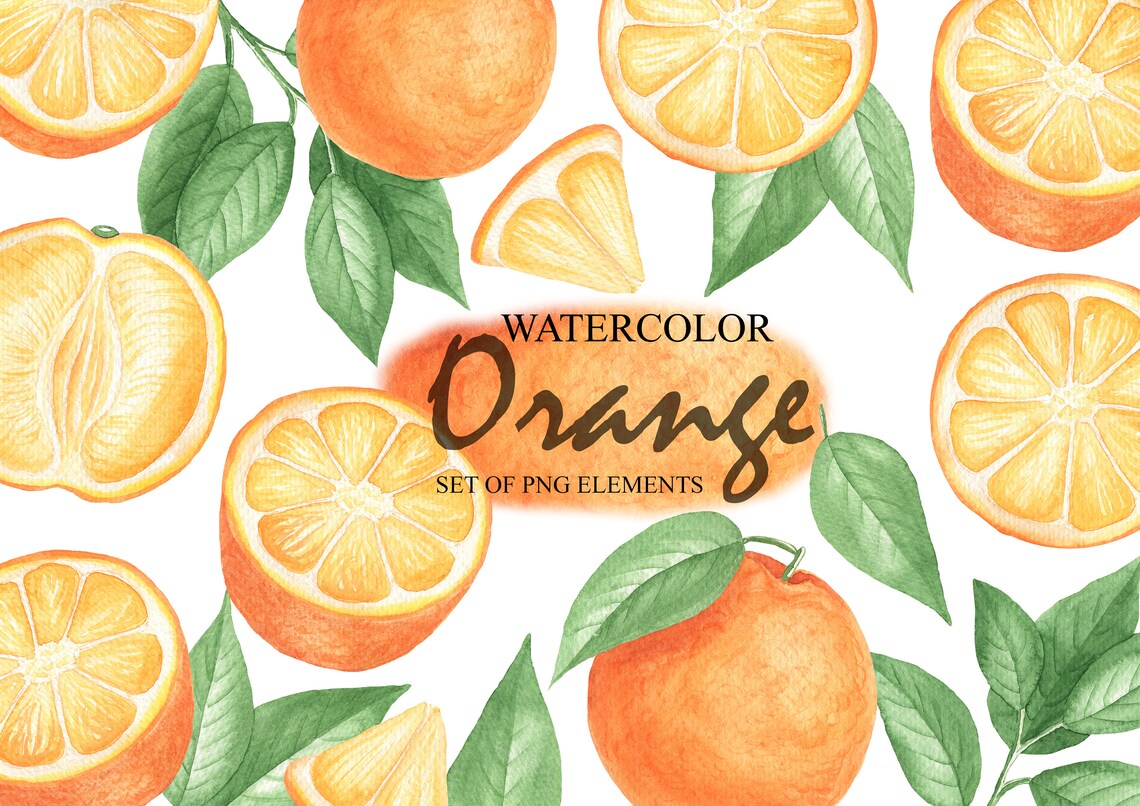 Watercolor Orange Fruit Clipart, Citrus Fruit Clip Art, Fresh Tropical ...