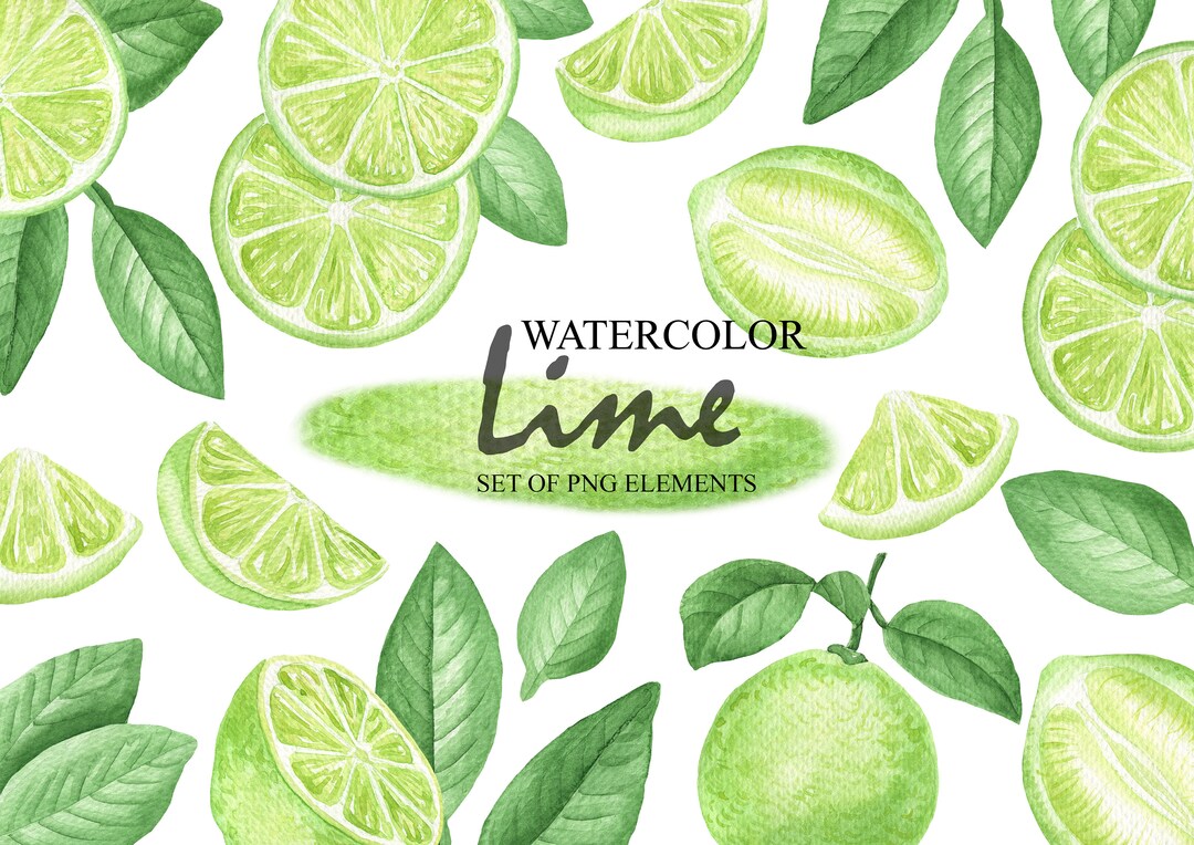 Lime Clipart, Watercolor Lime Clip Art, Tropical Fruit Clip Art, Citrus ...
