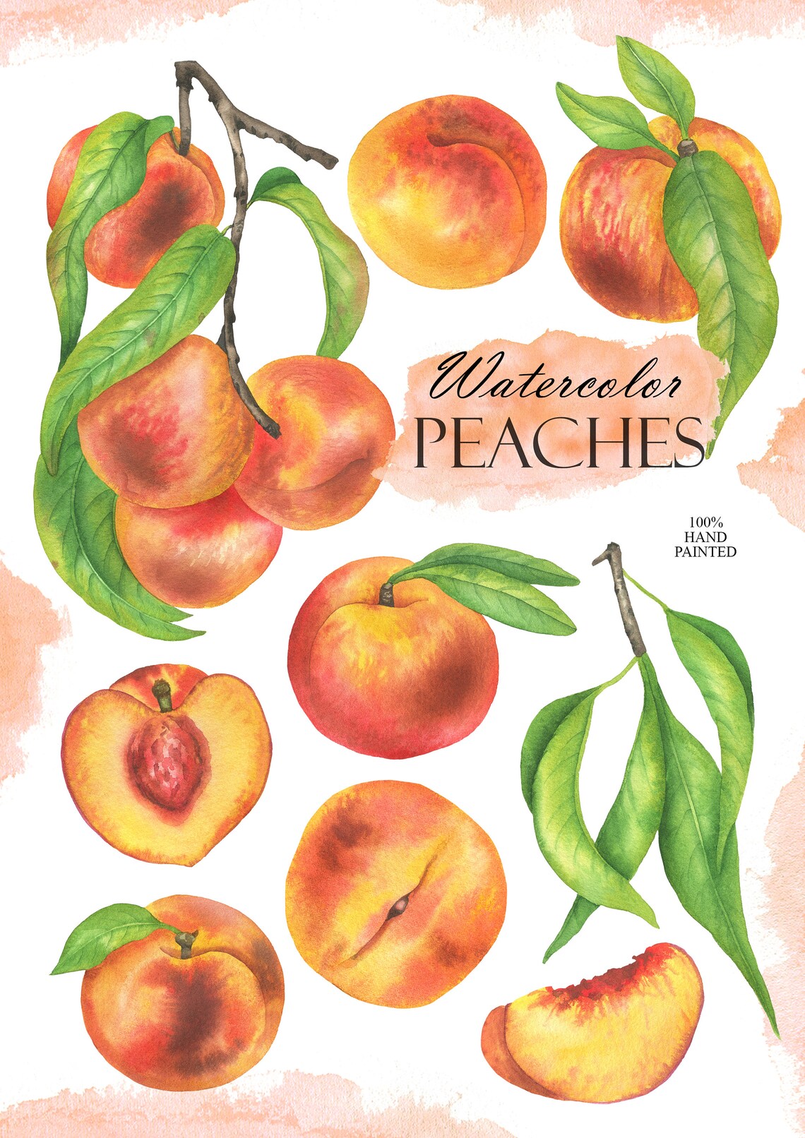 Watercolor Peach Clipart, Peaches Clip Art, Slices of Peach, Fresh ...