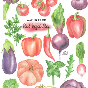 Watercolor Vegetable Clipart, Kitchen Autumn Tomato, Pepper, Beet ...