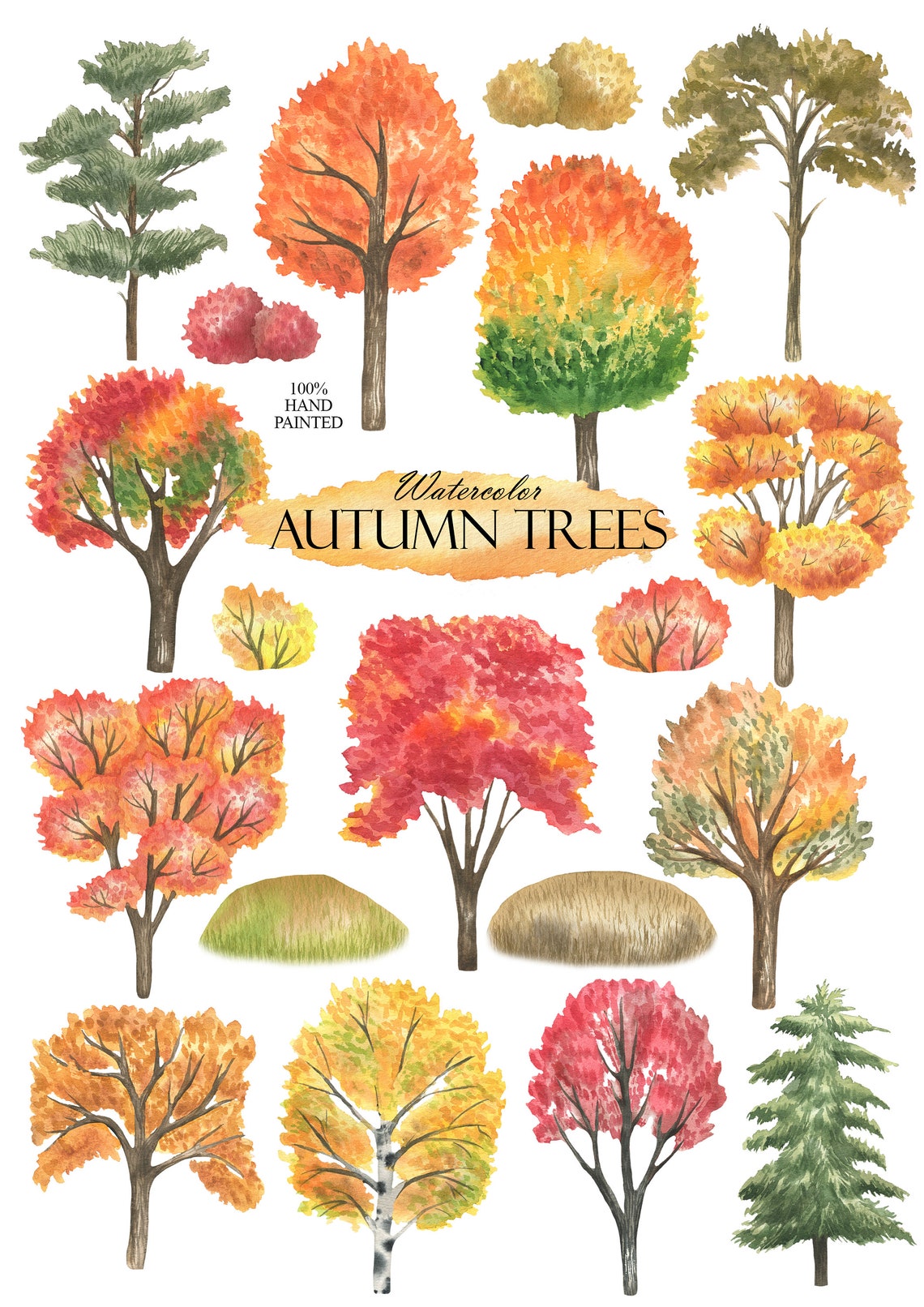 Fall Tree Watercolor Clipart Autumn Forest Trees Landscape - Etsy