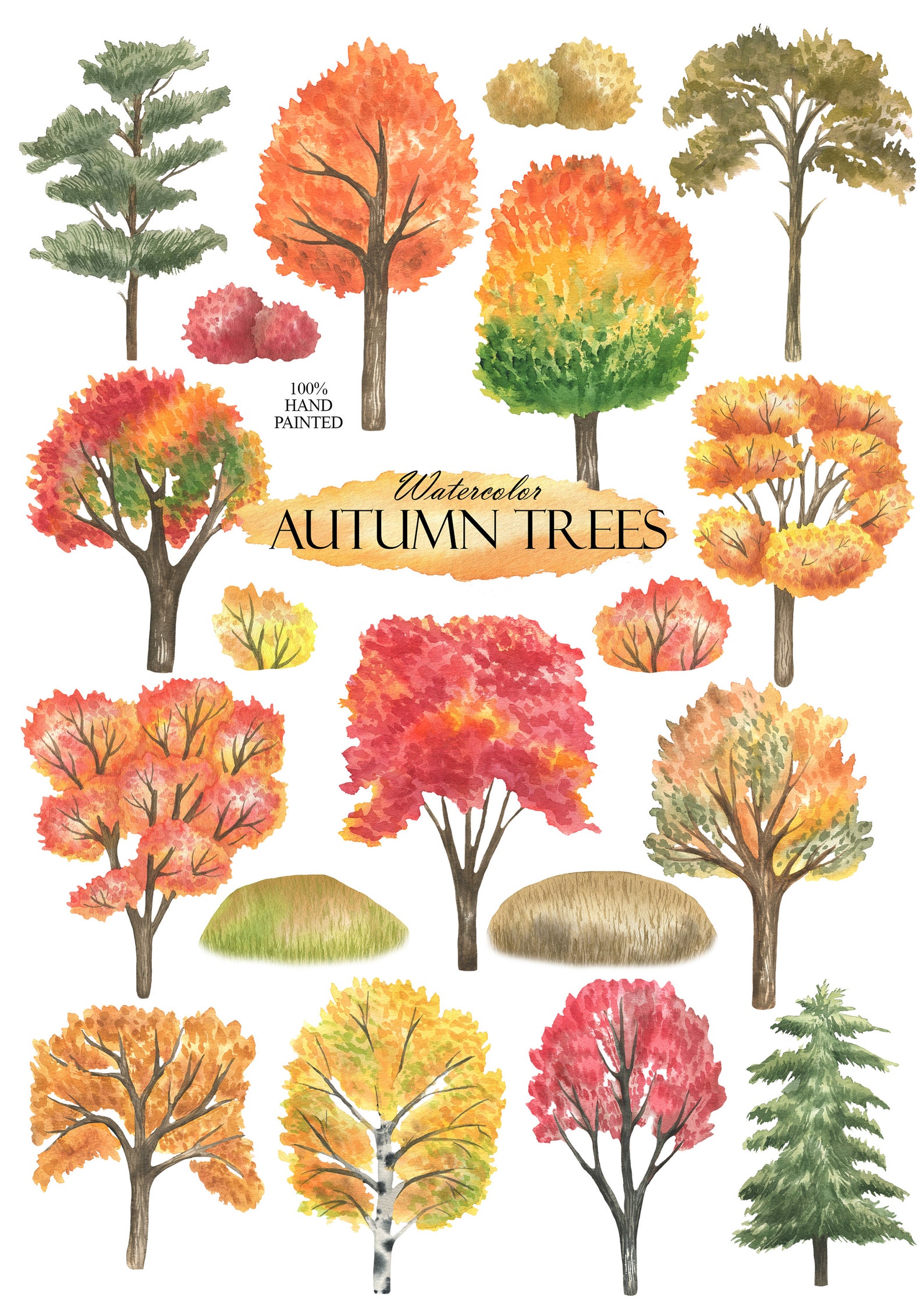 Fall Tree Watercolor Clipart, Autumn Forest Trees Landscape Clip Art ...