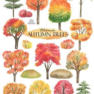 Fall Tree Watercolor Clipart, Autumn Forest Trees Landscape Clip Art ...