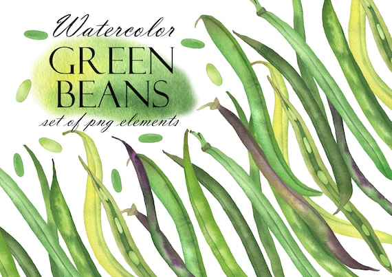 Green Beans Clip Art