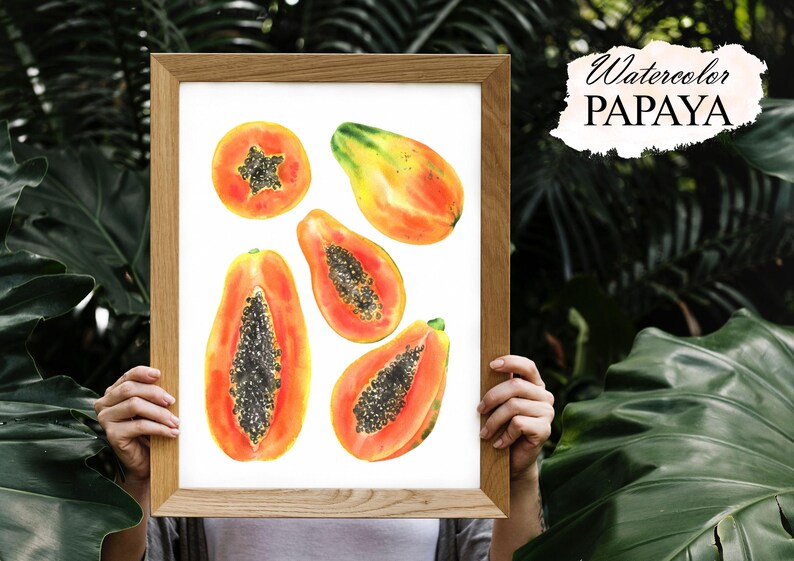 Watercolor Papaya Clipart Set, Tropical Fruit PNG (digital Download) - Etsy
