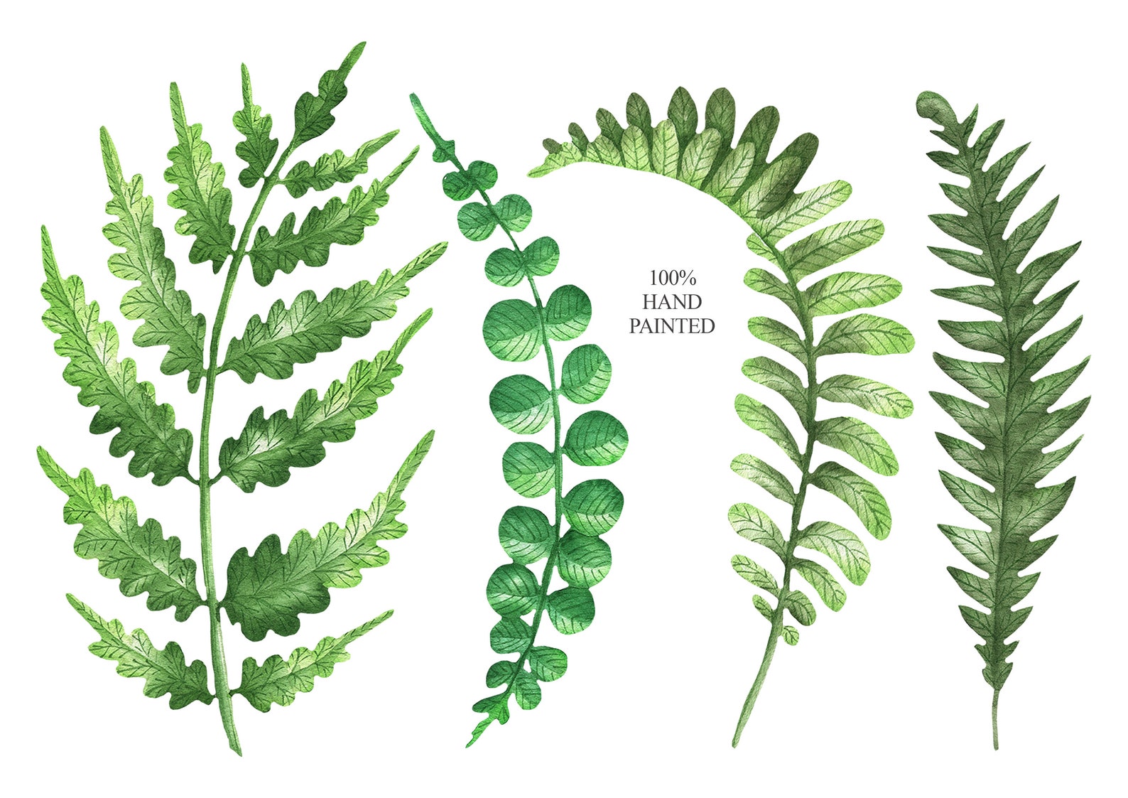 Watercolor Fern Greenery Clipart. Wedding Invitation Nature Clip Art ...