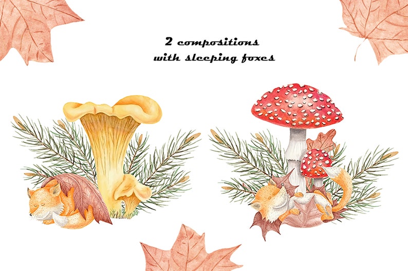 Watercolor Autumn Fox Clipart, Forest Animals, Floral Clipart ...