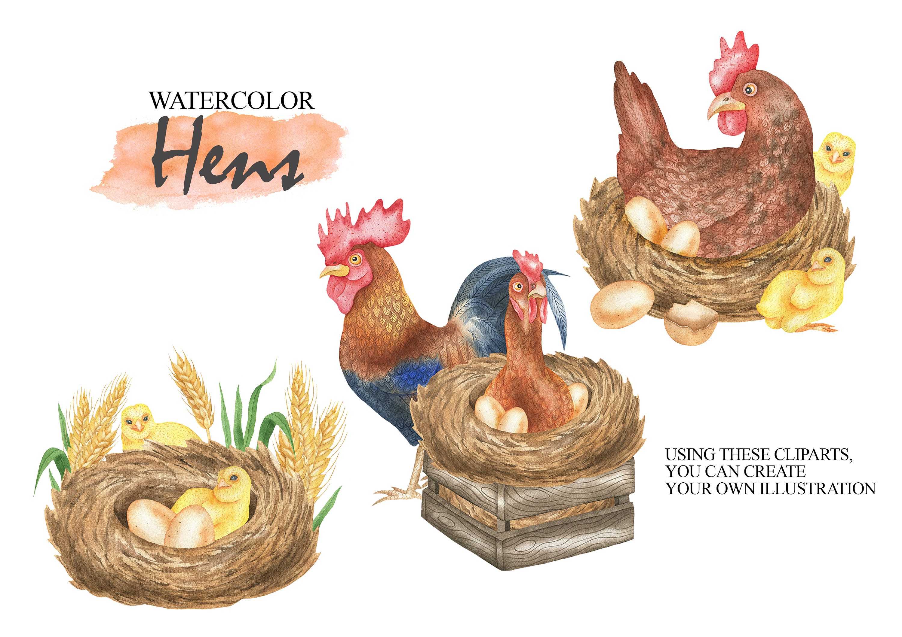 Watercolor Hens and Chickens Clipart, Farm Animals Clipart, Rooster ...