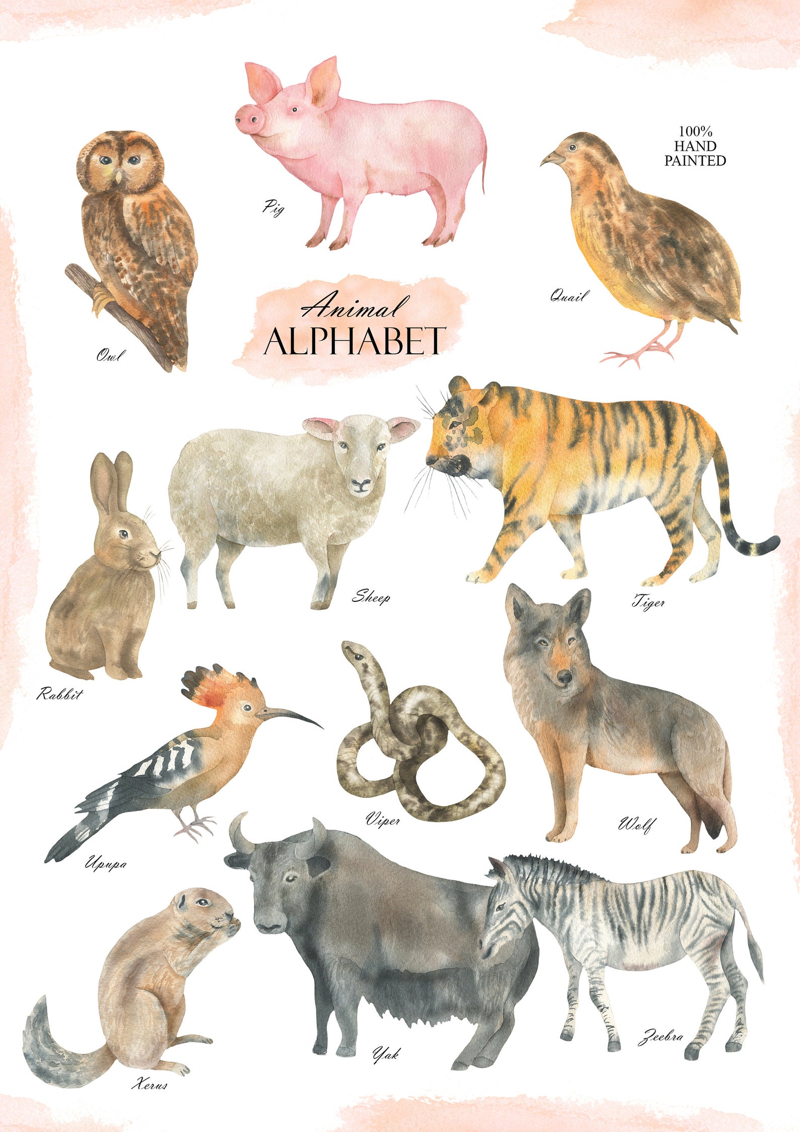 Animal Alphabet Watercolor Clipart, Animals A-Z, Alphabet Animals ...
