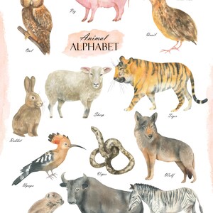 Animal Alphabet Watercolor Clipart, Animals A-Z, Alphabet Animals ...