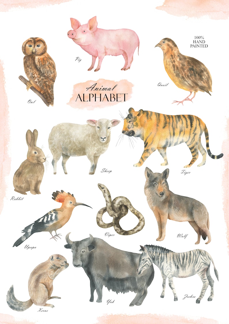 Animal Alphabet Watercolor Clipart, Animals A-Z, Alphabet Animals ...