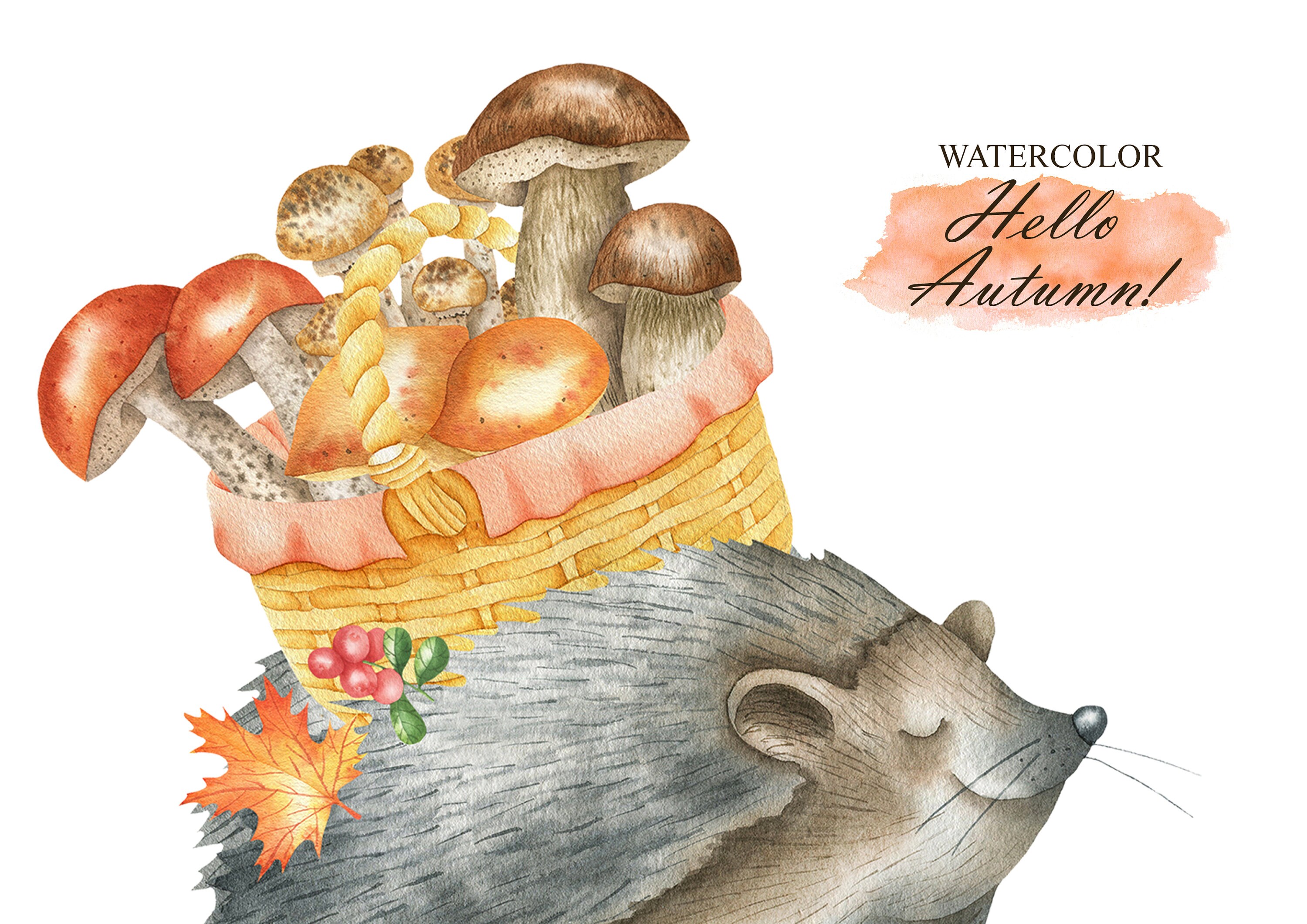 Watercolor Fall Forest Clipart Autumn Clip Art Woodland - Etsy