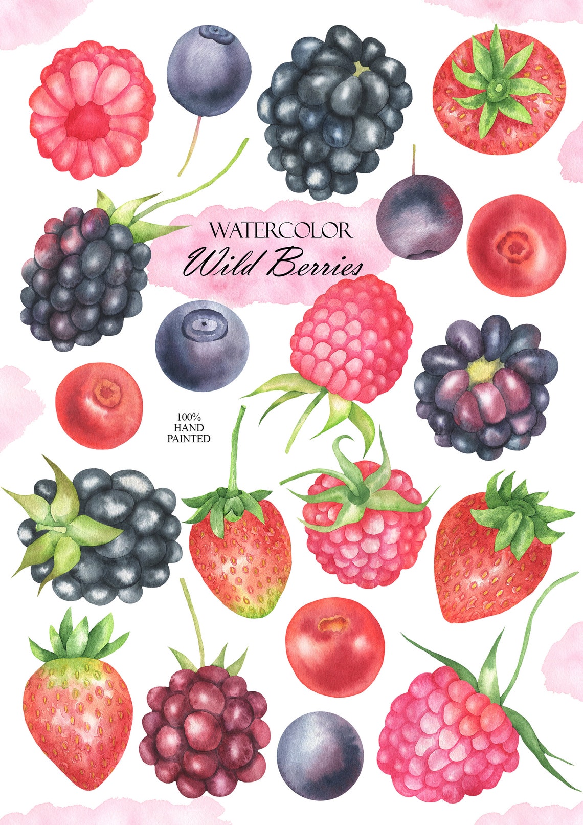 Watercolor Wild Berry Clipart, Forest Blueberries, Strawberries ...