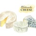 Watercolor Cheese Clipart, Types of Cheeses, Cheese Clip Art ...