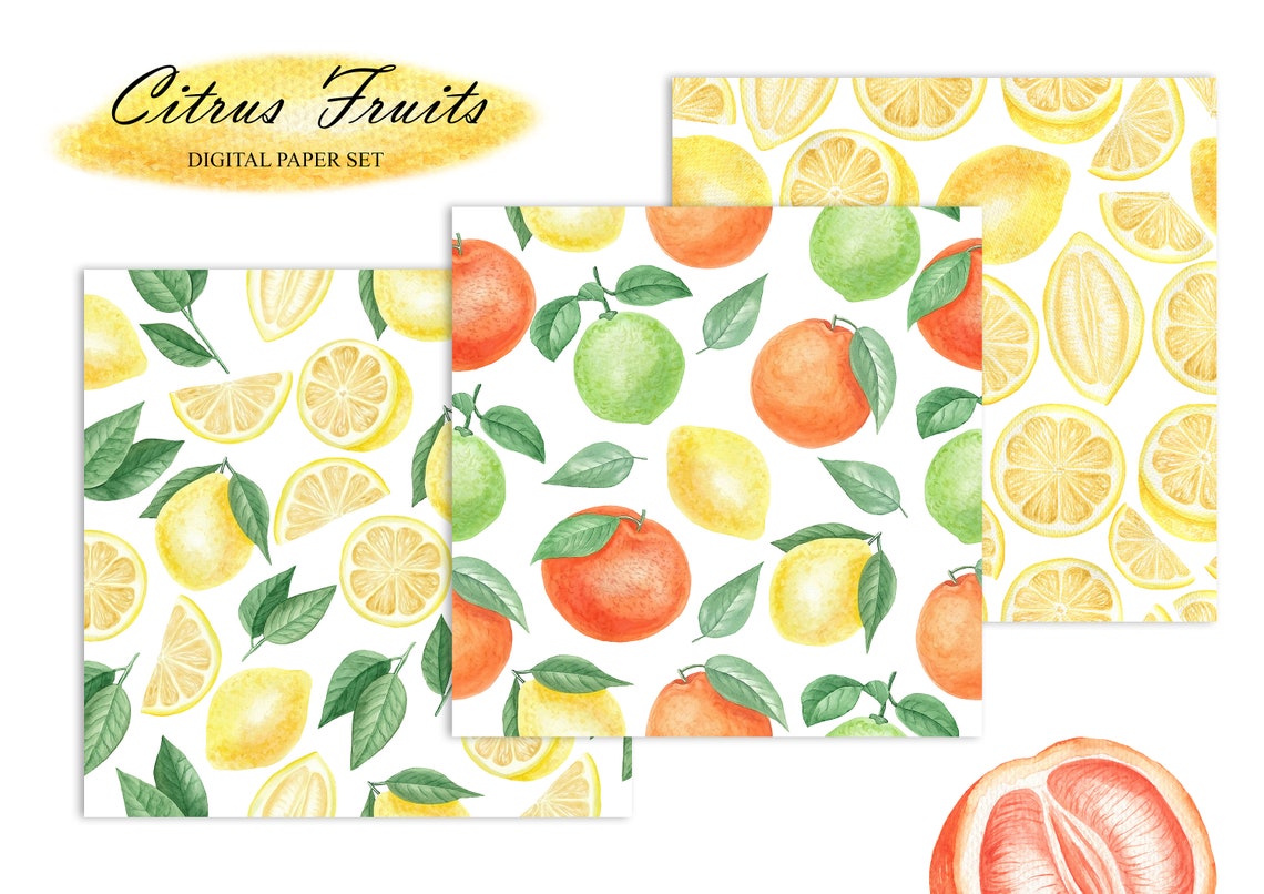 Watercolor Citrus Fruits Digital Paper Lemon Lime Orange - Etsy