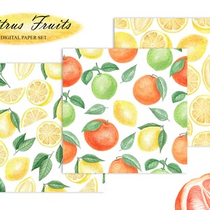 Watercolor Citrus Fruits Digital Paper, Lemon, Lime, Orange, Grapefruit ...