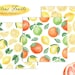 Watercolor Citrus Fruits Digital Paper, Lemon, Lime, Orange, Grapefruit ...