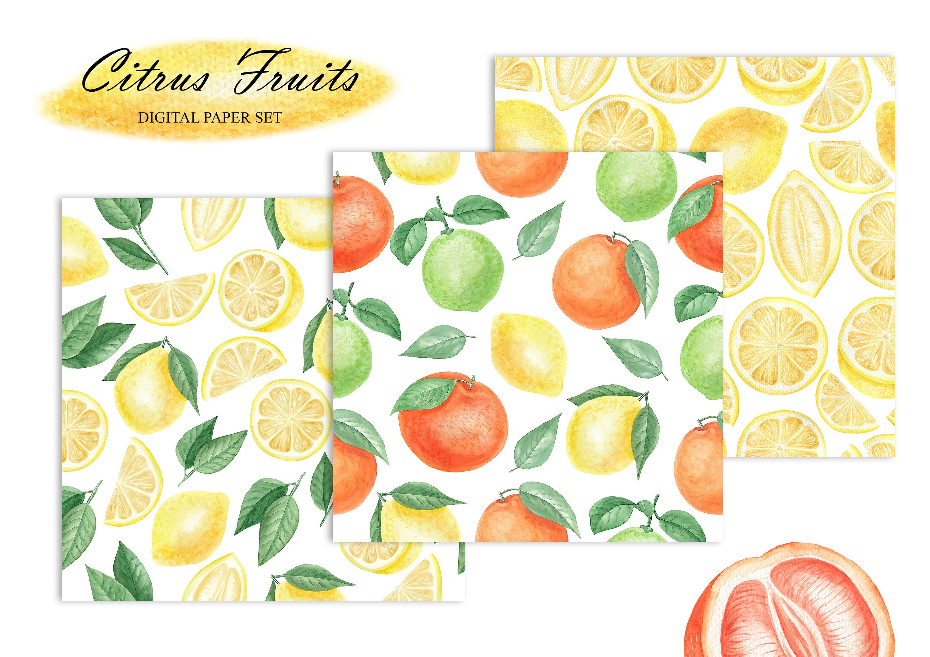Watercolor Citrus Fruits Digital Paper Lemon Lime Orange - Etsy