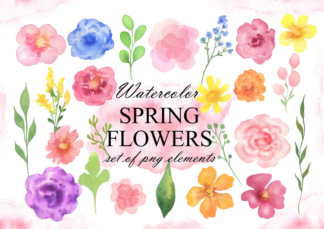Watercolor Spring Flowers Clipart, Spring Floral Decor Clip Art, Summer ...