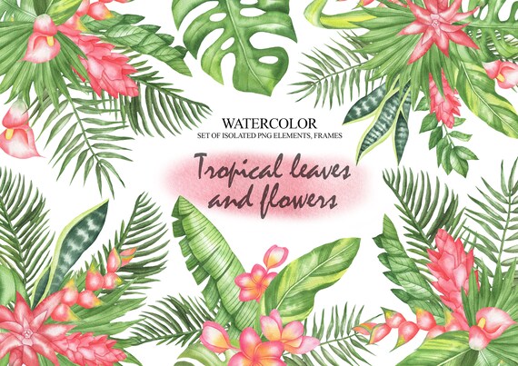 Watercolor Tropical Flowers and Leaves Clipart Hawaii Clip | Etsy