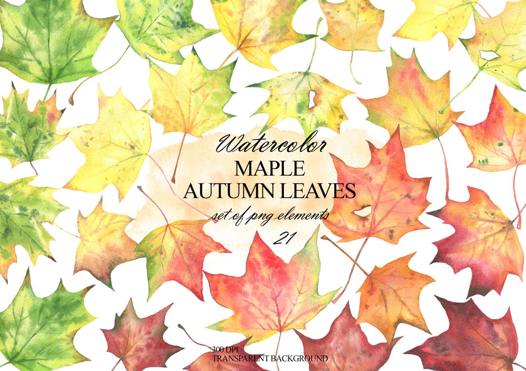 Watercolor Maple Autumn Leaves Clipart Set, Maple Colorful Leaves Clip ...