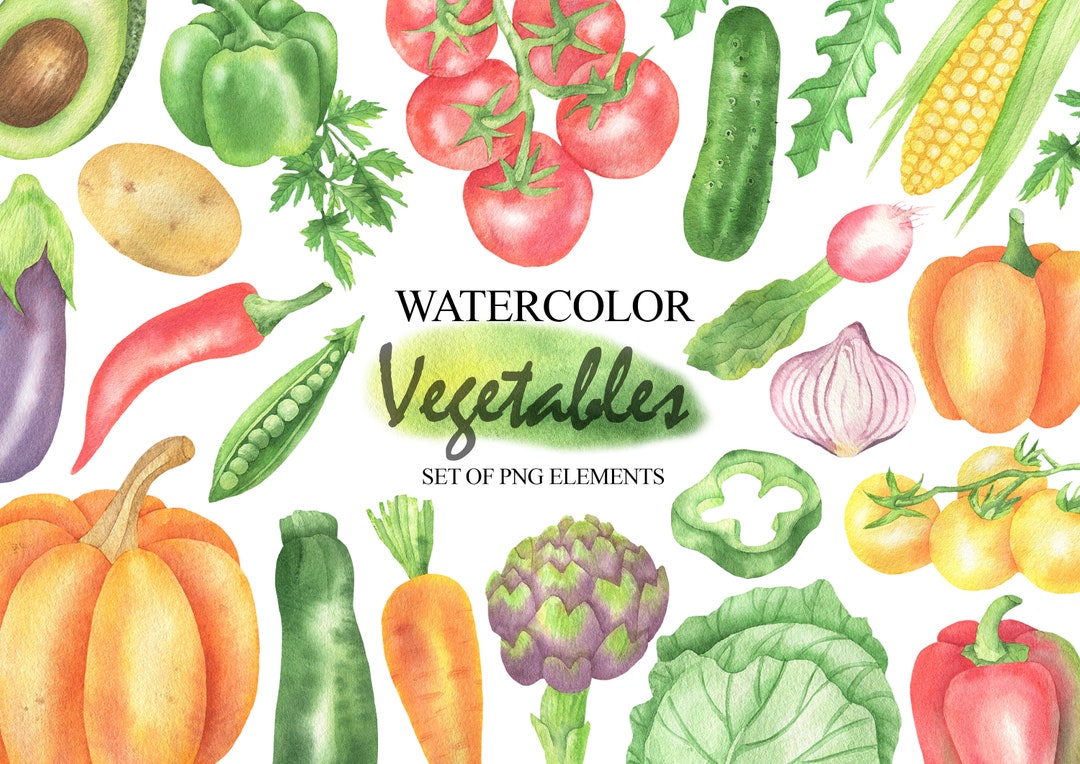Watercolor Vegetable Clipart, Kitchen Autumn Onion, Tomato, Pepper ...