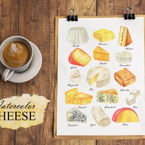 Watercolor Cheese Clipart, Types of Cheeses, Cheese Clip Art ...