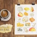 Watercolor Cheese Clipart, Types of Cheeses, Cheese Clip Art ...