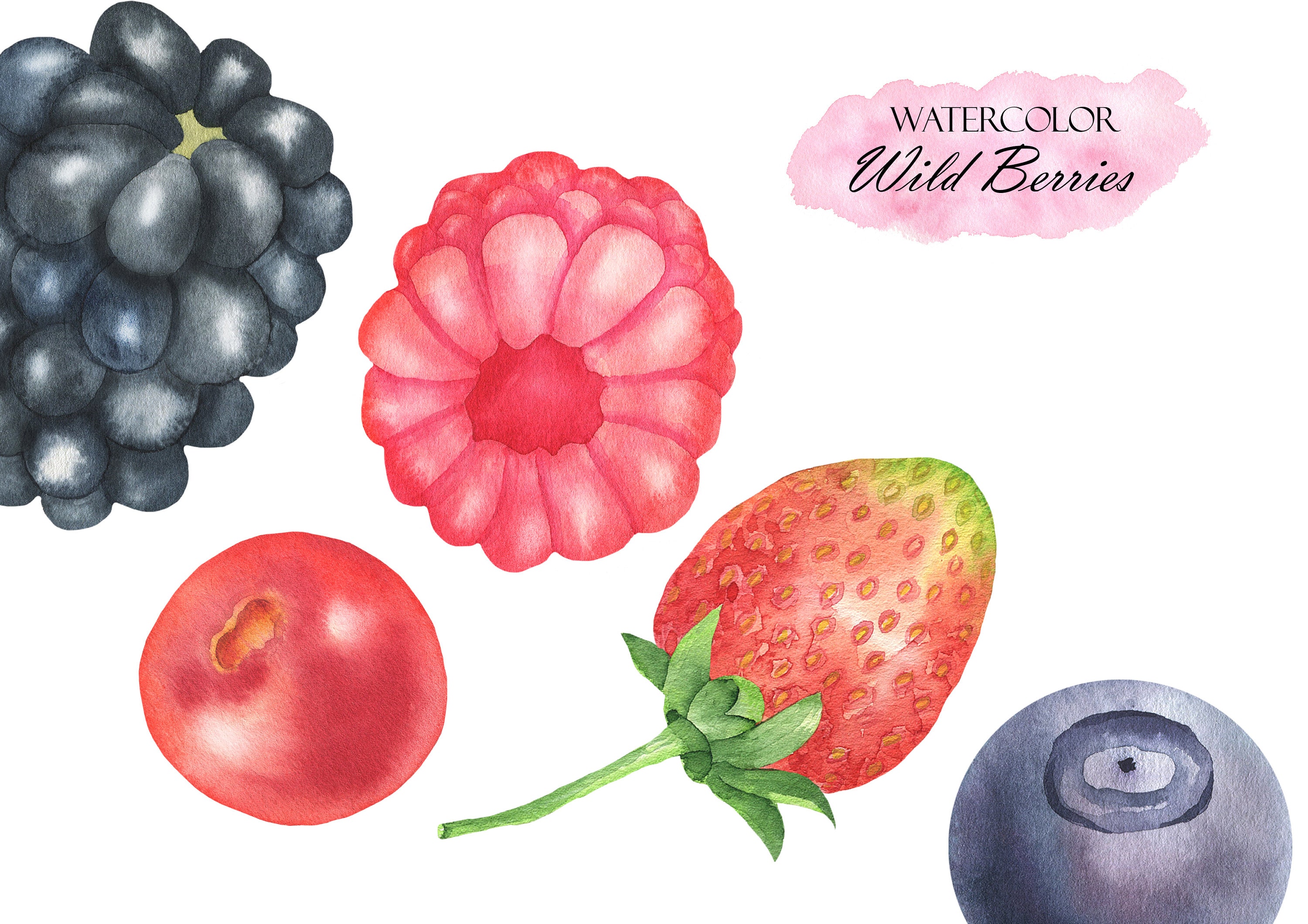 Wild Berries Clip Art