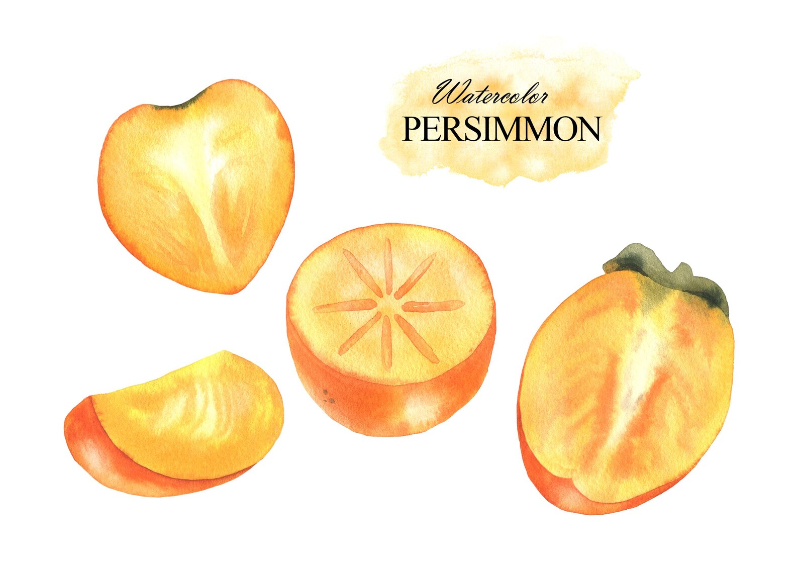 Watercolor Persimmon Clip Art, Persimmon Slices, Persimmon Harvest ...