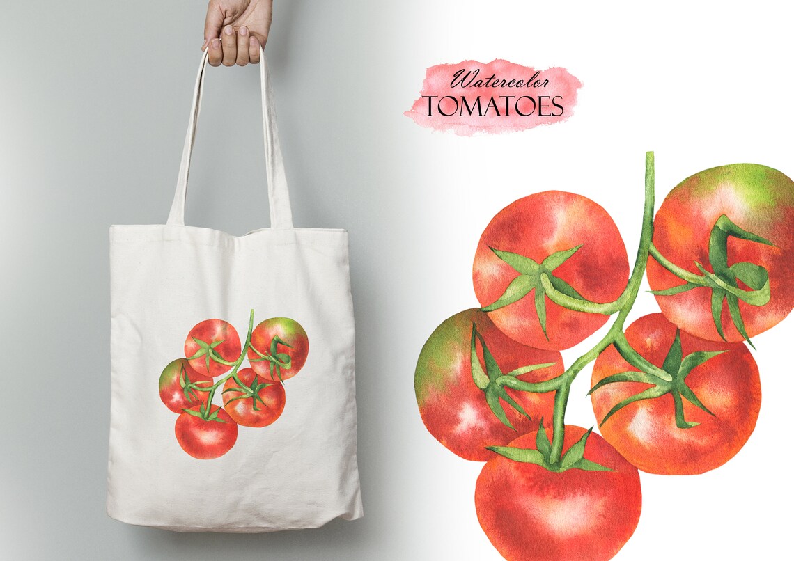 Watercolor Tomatoes Clipart Tomato Slices Clip Art Eco Farm - Etsy