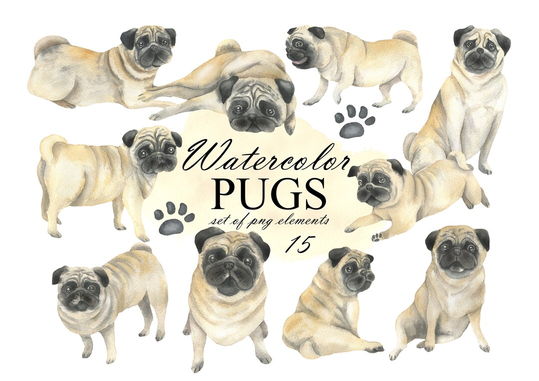 Watercolor Pugs Clipart, Pug Illustrations, Watercolor Dog, Pets Clip ...