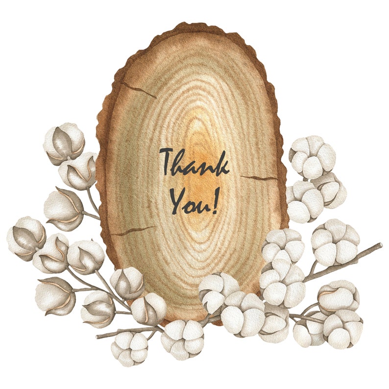 Watercolor Wood Slice and Cotton Clipart, Floral Wooden Slices, Rustic ...