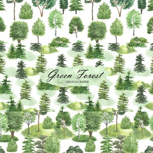 Green Forest Digital Paper, Watercolor Woodland Pine Trees Landscapes ...