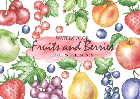 Watercolor Fruits and Berries Clipart Summer Fresh Cherry - Etsy