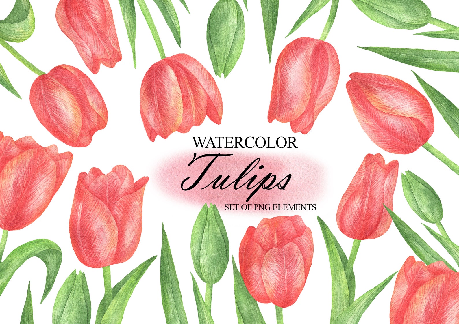 Watercolor Tulip Clip Art, Red Tulips PNG, Spring Flowers Clipart, DIY ...