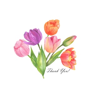 Watercolor Tulip Clip Art, Colored Tulips, Spring Flowers Clipart ...