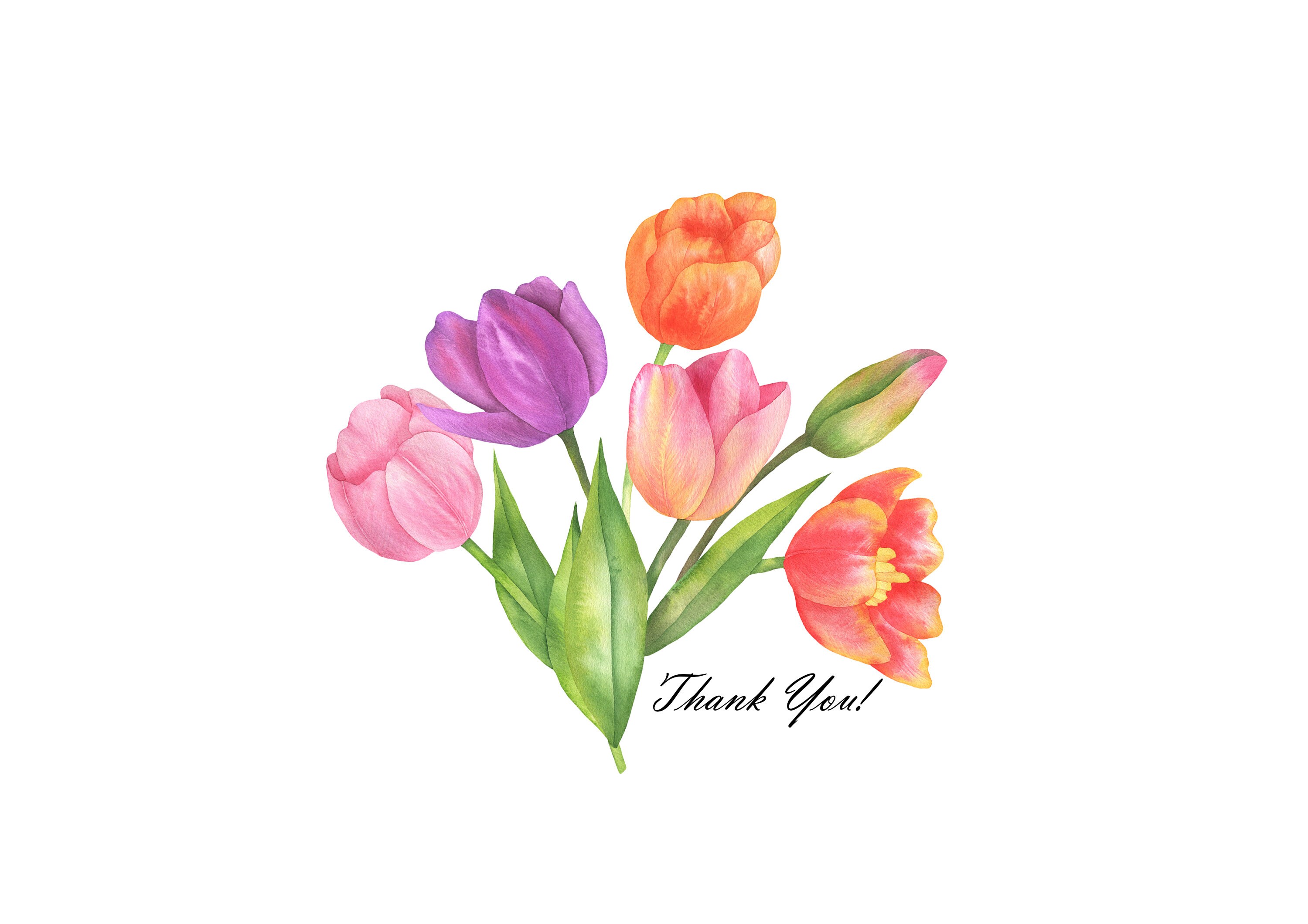 Watercolor Tulip Clip Art Colored Tulips Spring Flowers - Etsy