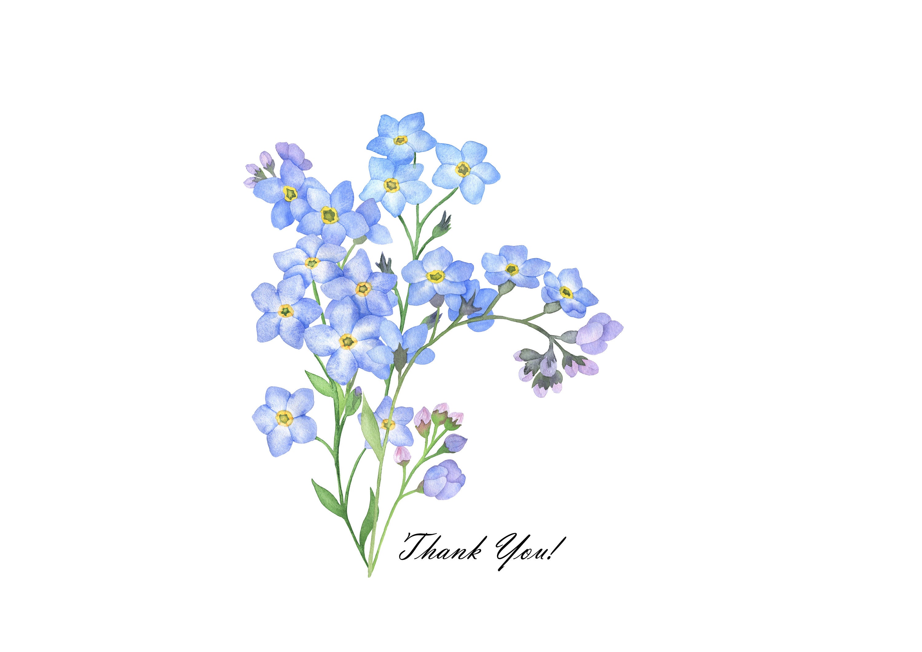 Watercolor Forget Me Not Clipart, Blue Flowers Clip Art, Spring Flowers ...