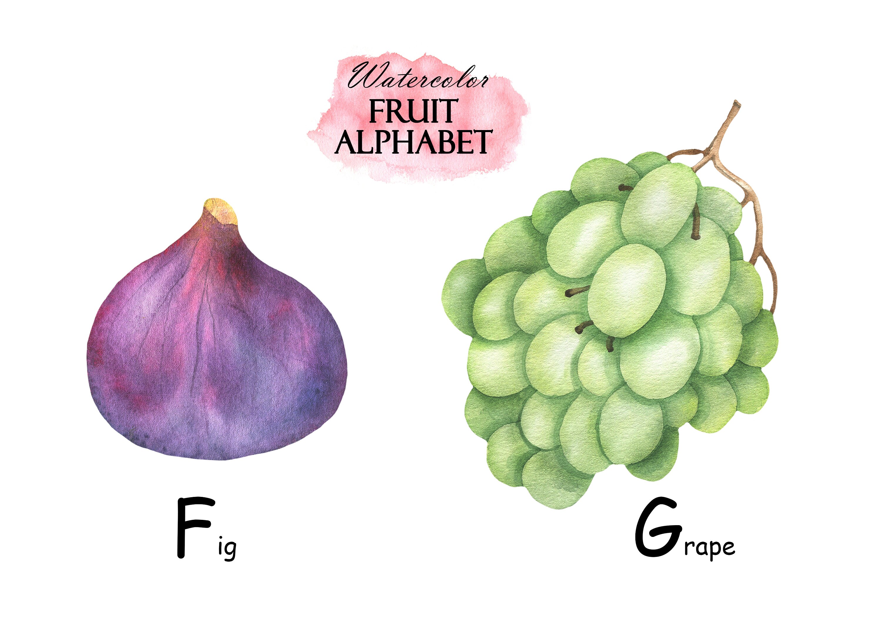 Watercolor Fruit Alphabet Clipart 2, Fruits ABC, Alphabet Poster ...