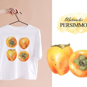 Watercolor Persimmon Clip Art, Persimmon Slices, Persimmon Harvest ...